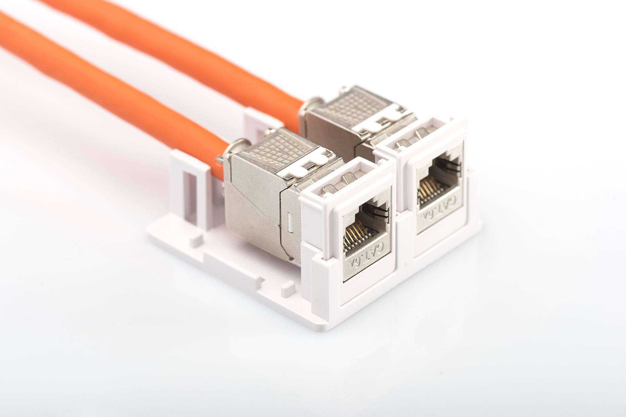 Datu rozete v/a 2 x RJ45 / bez ligzdām / Balta - BPG